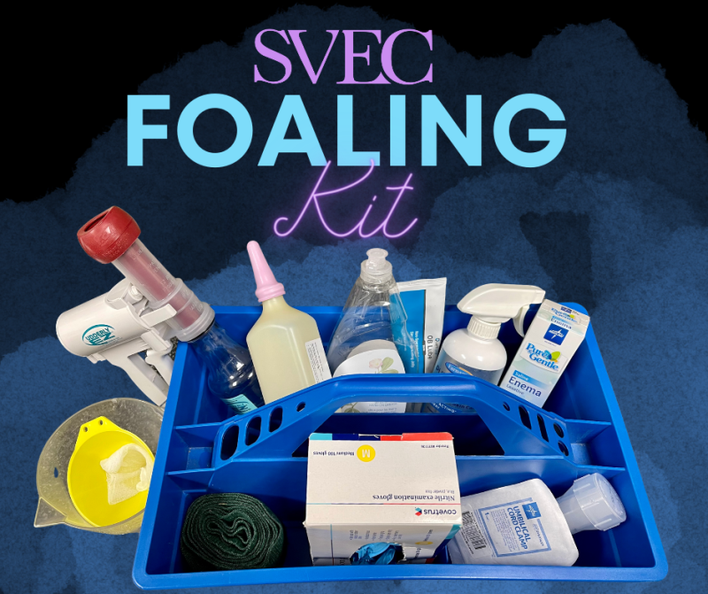 Foaling Kit | Saginaw Valley Equine Clinic
