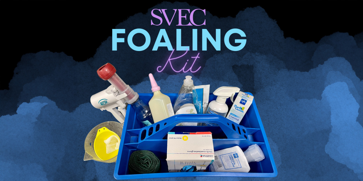 Foaling Kit - Saginaw Valley Equine Clinic